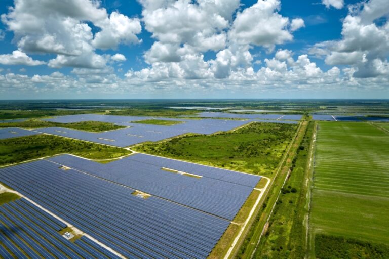 Paneles solares subirían hasta 15% tras años de caída de precios | EHPLUS+